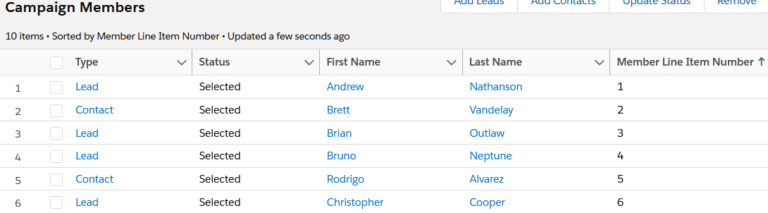 Create your own Line Item Numbers in Salesforce | StarrData